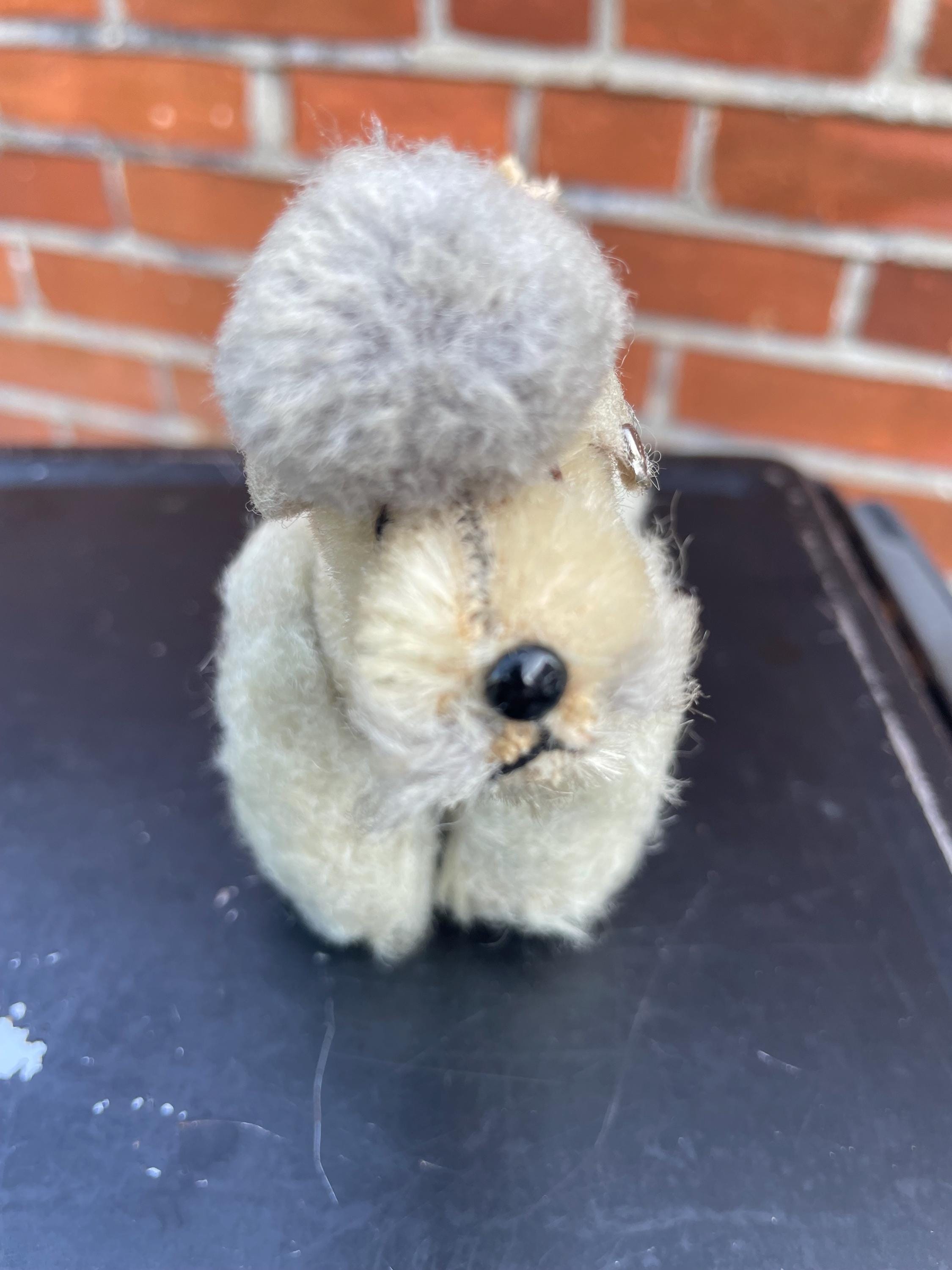 Steiff Snobby Poodle Dog Vintage 1950s Mohair - Etsy