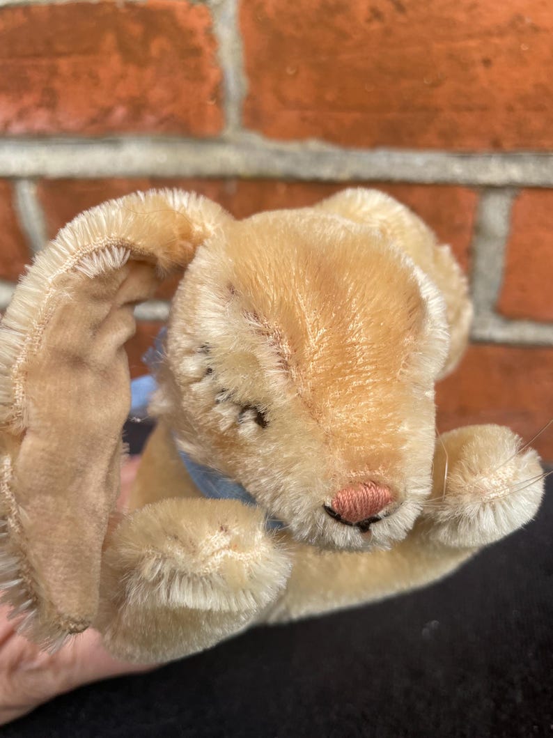 Steiff Vintage Floppy Hansi Rabbit Sleeping Lying Down 1950s EAN 5527/ ...