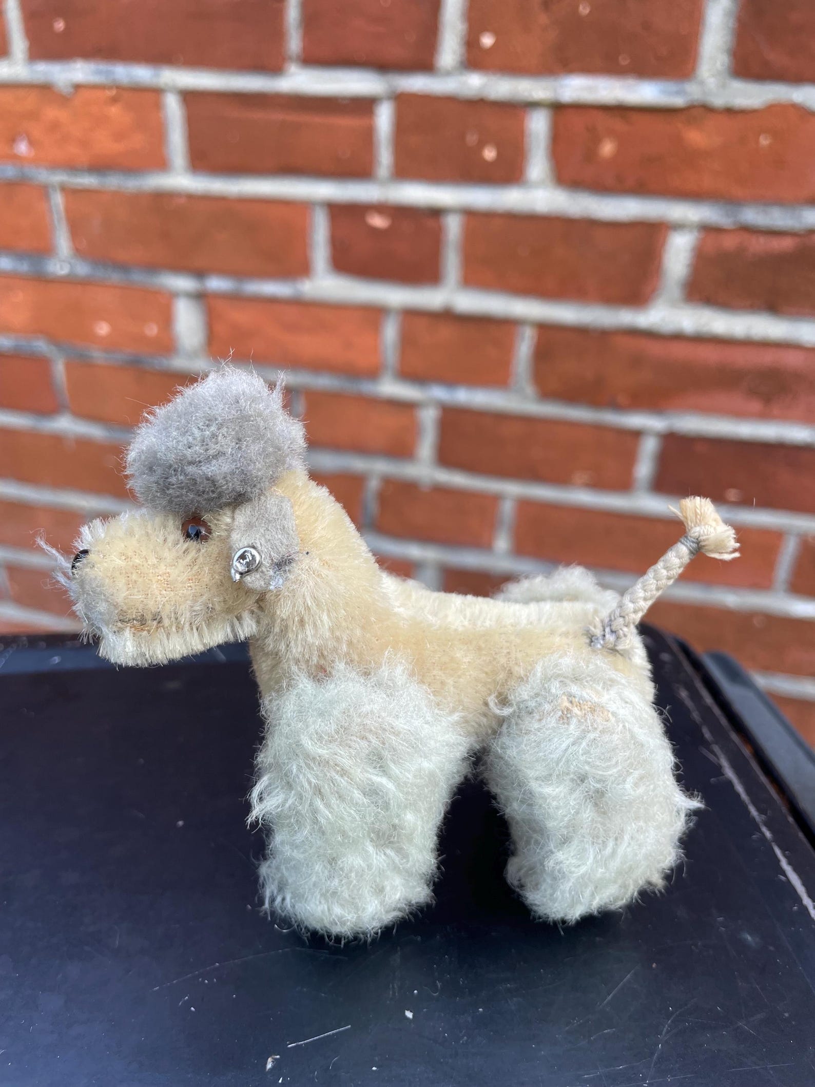 Steiff Snobby Poodle Dog Vintage 1950s Mohair - Etsy