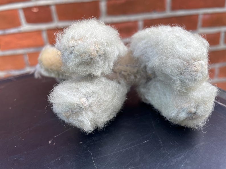 Steiff Snobby Poodle Dog Vintage 1950s Mohair - Etsy