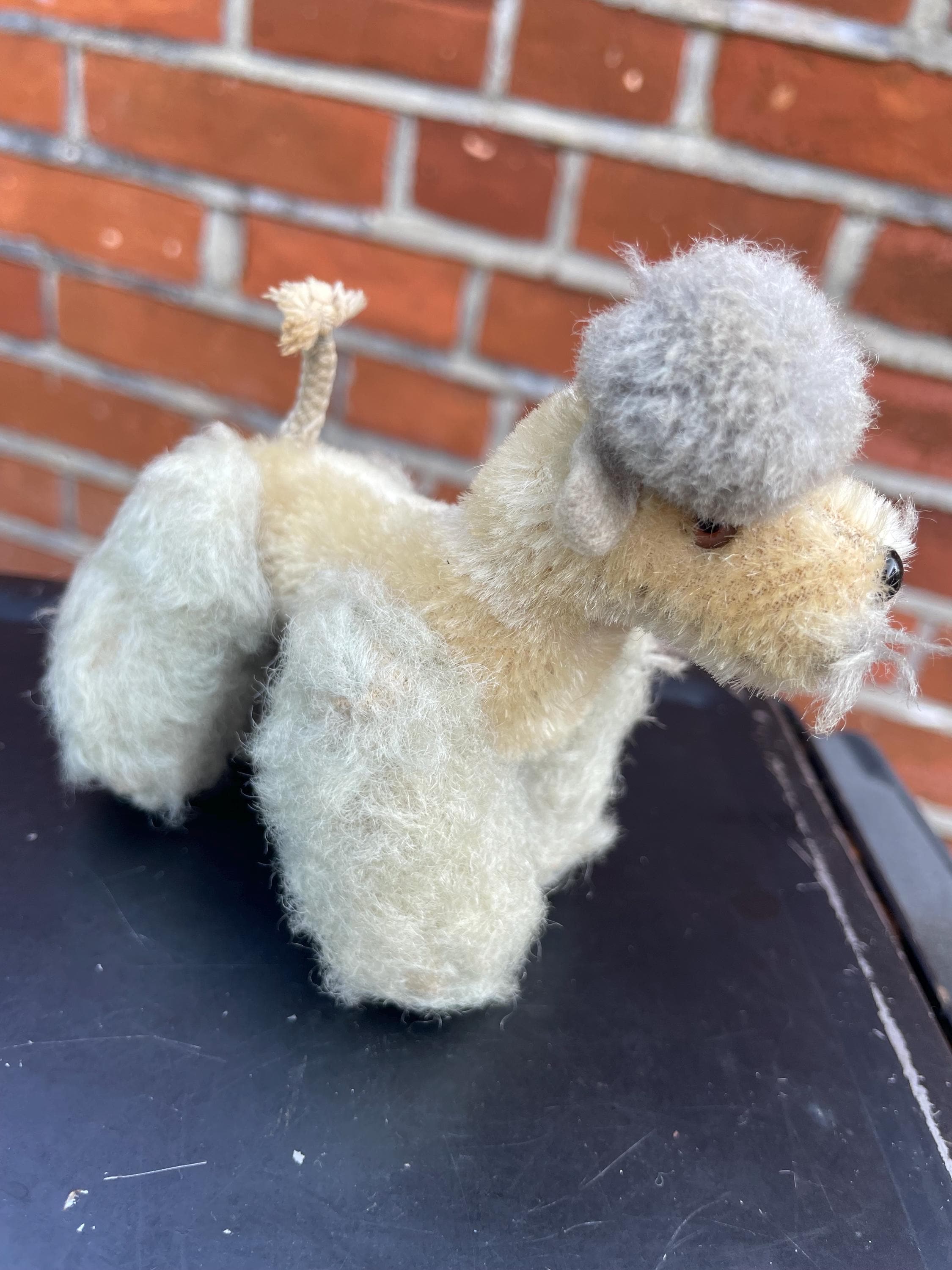 Steiff Snobby Poodle Dog Vintage 1950s Mohair - Etsy