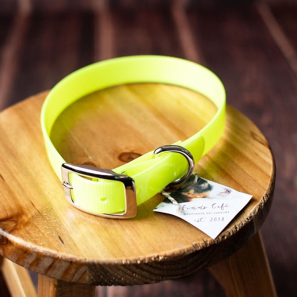 Neon Dog Collar - Etsy