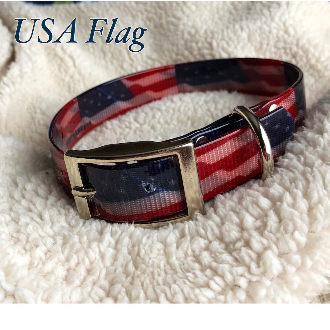 1" or 3/4" USA Flag Waterproof Dog Collar / American Flag Dog Collar ...