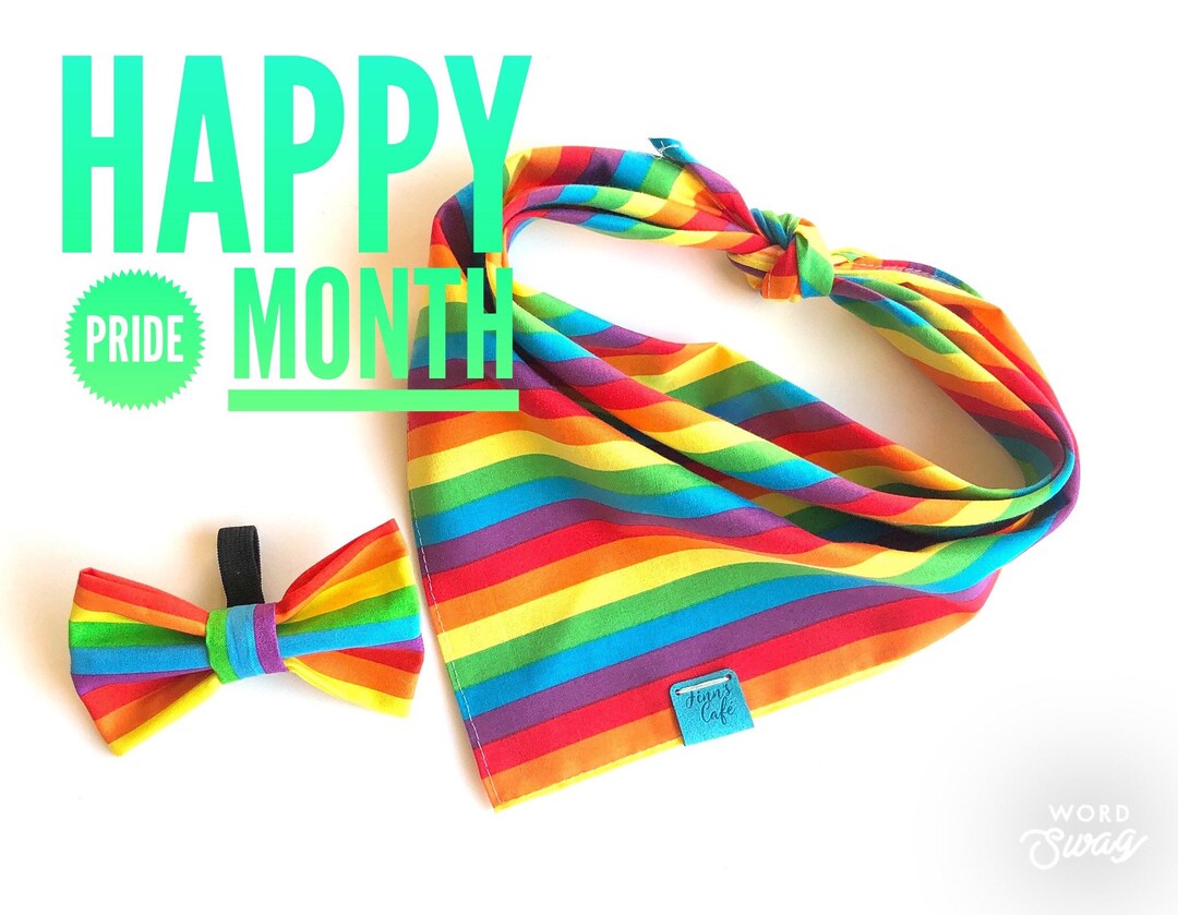 Personalized Rainbow Stripes Pride Bandana Only / Rainbow Colors Dog ...