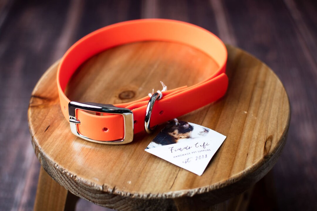 Waterproof Neon Orange Dog Collar Choose Width / Lite Brite Collar ...