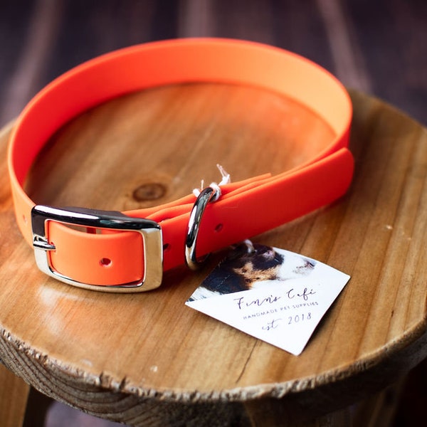 Orange Dog Collar - Etsy