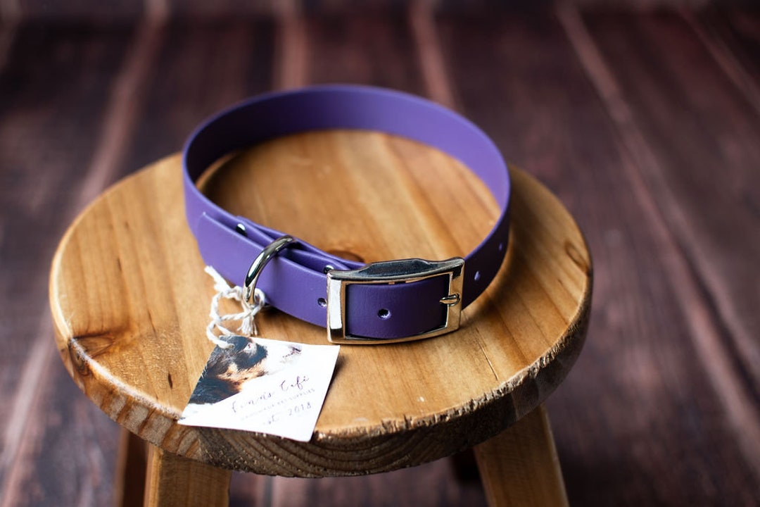 Waterproof Purple Dog Collar Choose Width 1