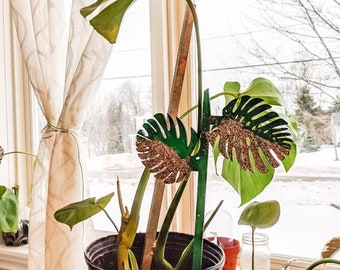 Monstera Plant Support - Etsy