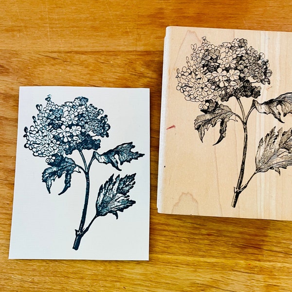 Hydrangea Stamp - Etsy