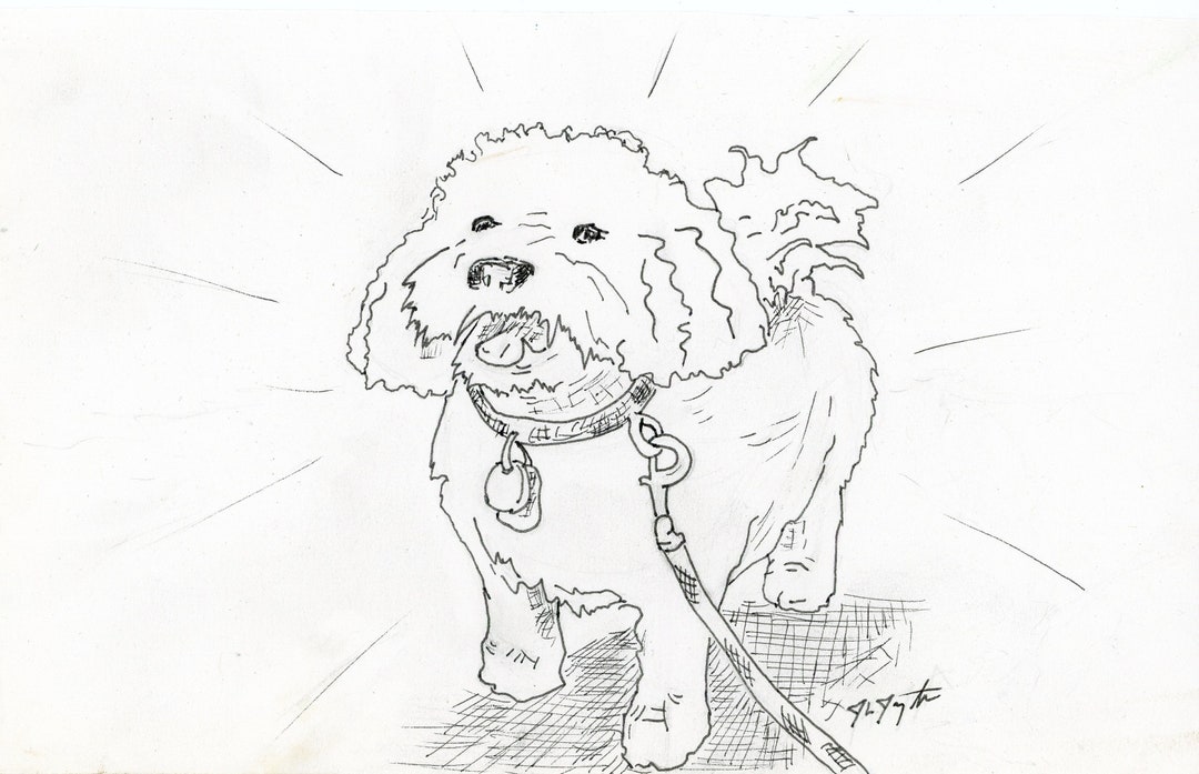 Original Pen and Ink Dog Drawing Little Dog 5.5x9 Pet Portrait Small ...