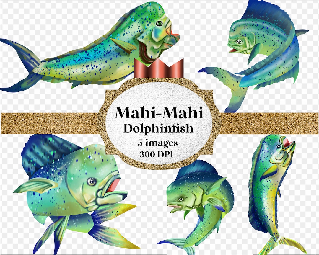 Watercolor Fishing Mahi Mahi Dolphinfish Digital Art Graphics Hand ...