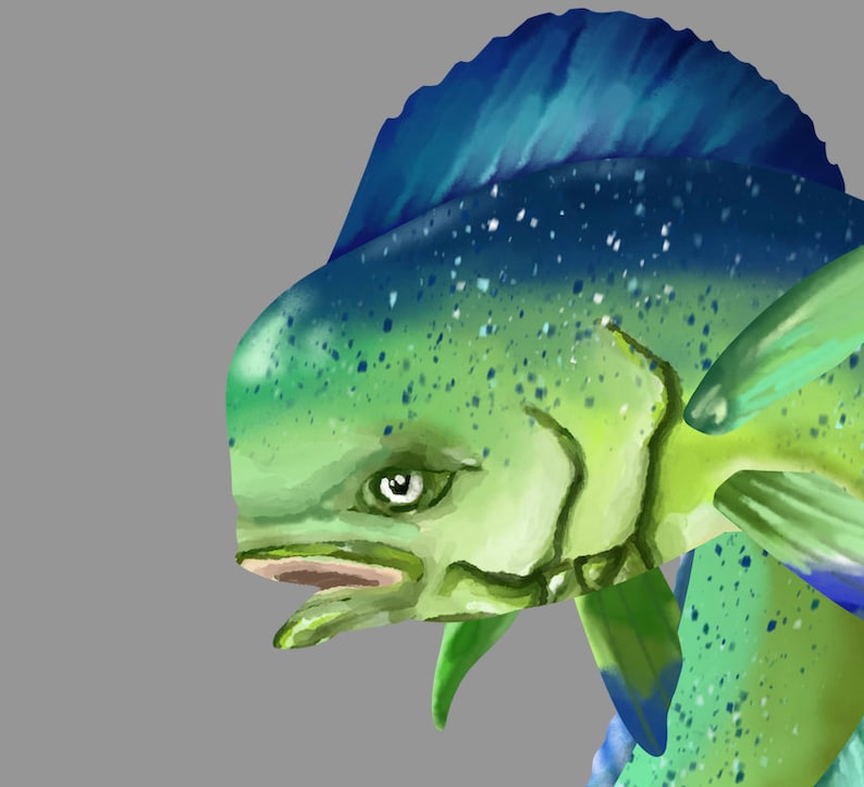 Watercolor Fishing Mahi Mahi Dolphinfish Digital Art Graphics Hand ...