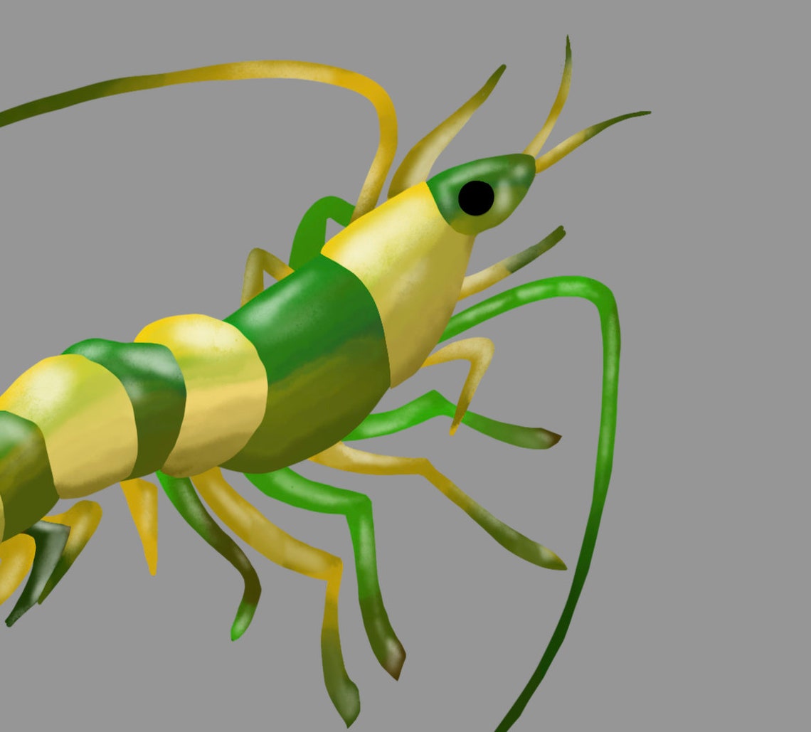 Watercolor Deep Sea Ocean Fishing Clipart Clip Art Digital - Etsy