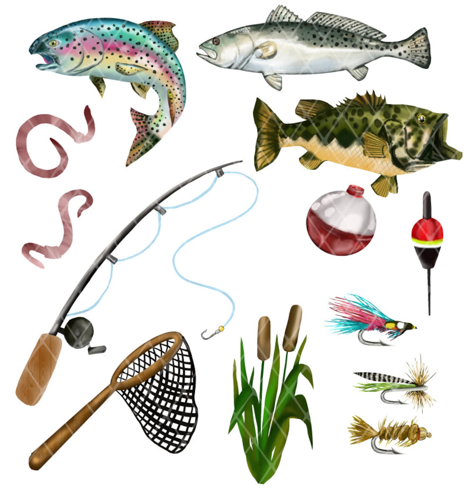 Watercolor Fishing Clipart Clip Art Digital Png Hand Drawn - Etsy
