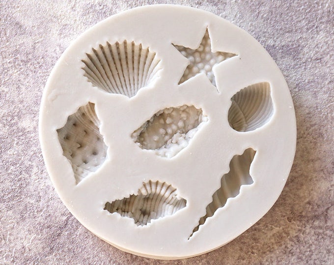 Sea Shell Mold, Baking Tool,silicone Mold,seashell Cake Mold, Chocolate ...