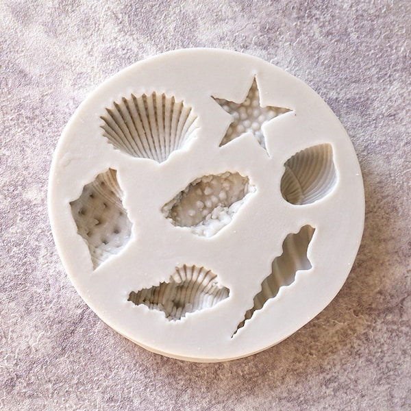 Sea Shell Fondant Mould - Etsy