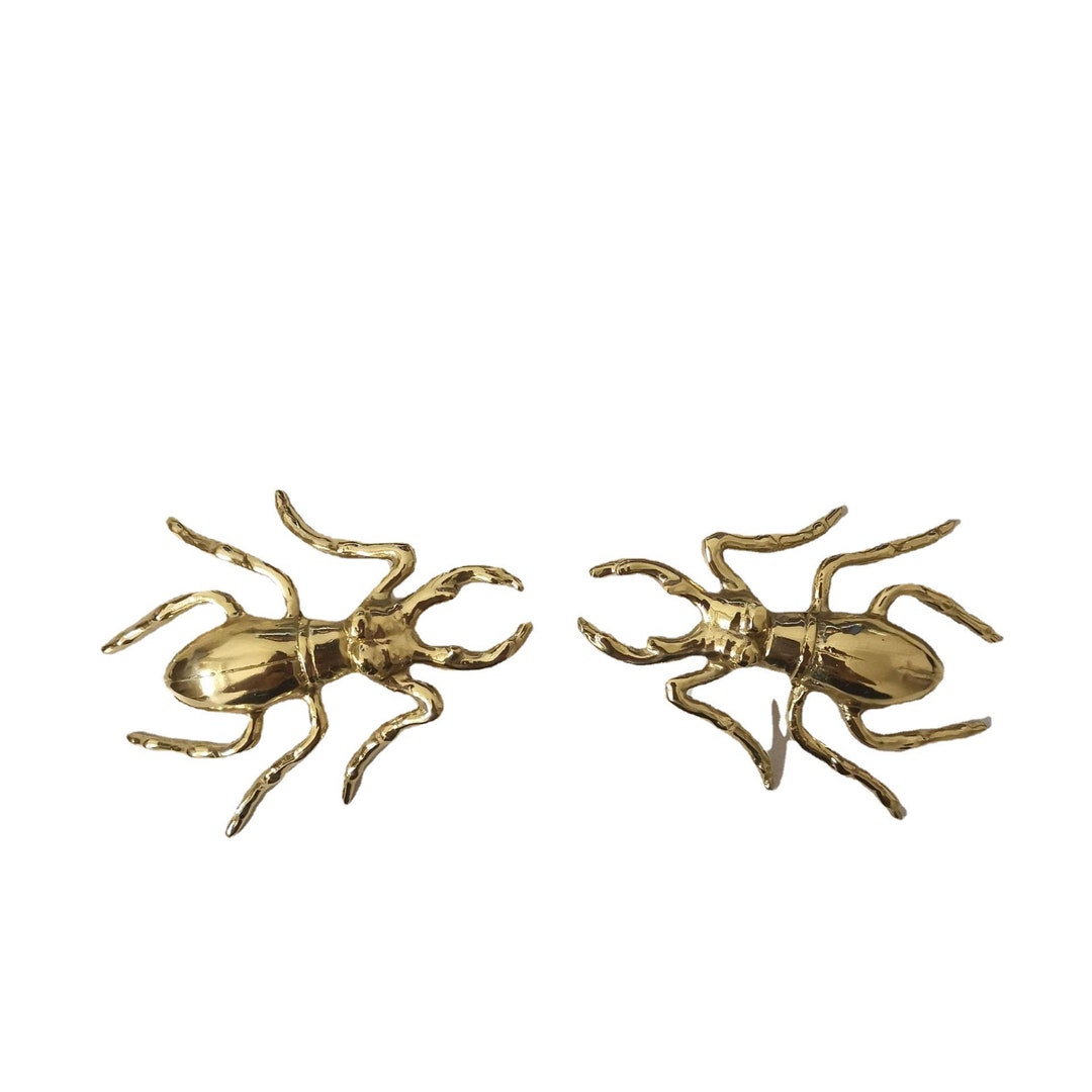 Beetle Brass Drawer Knob, Unique Insect Cabinet Knobs, Furniture ...
