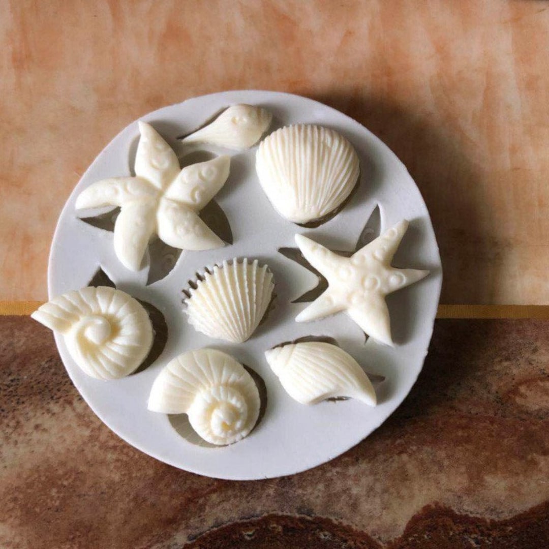 Conch Starfish Mold/ Conch Silicone Mold/starfish Mold/candy, Chocolate ...