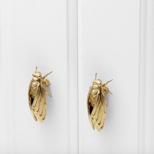 Bug Brass Drawer Knob, Unique Cicada Cabinet Knobs, Furniture ...