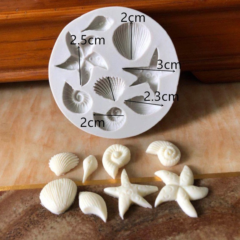 Conch Starfish Mold/ Conch Silicone Mold/starfish Mold/candy - Etsy