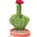Cactus With Middle Finger, Stuffed Plant in the Pot - Etsy