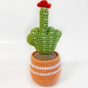 Cactus With Middle Finger, Stuffed Plant in the Pot - Etsy