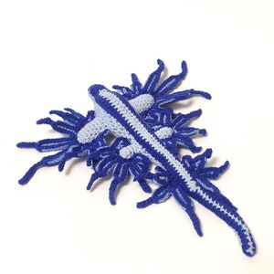Sea Slug Stuffed Toy, Sea Blue Dragon, Sea Animals Lovers Gift - Etsy