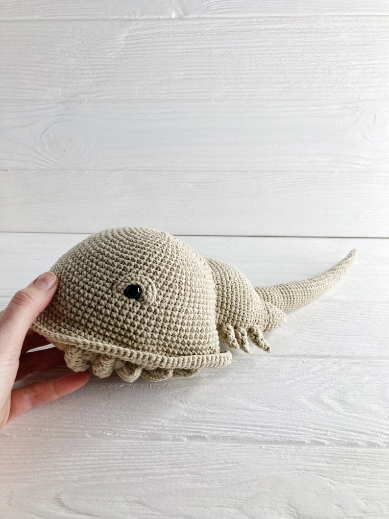Horseshoe Crab, Beige Sea Creature, Sea Animals Lovers Gift - Etsy