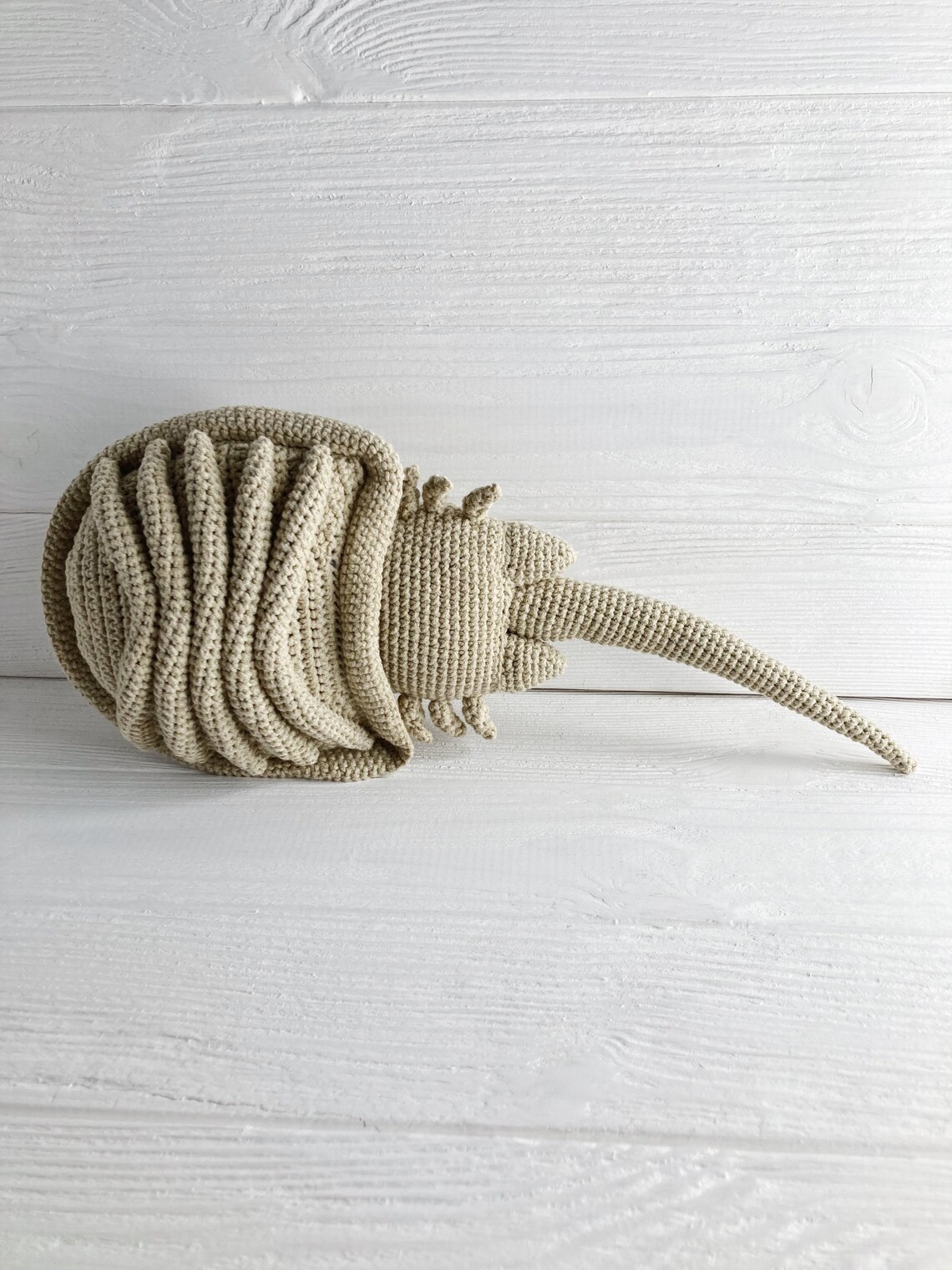 Horseshoe Crab Beige Sea Creature Sea Animals Lovers Gift | Etsy