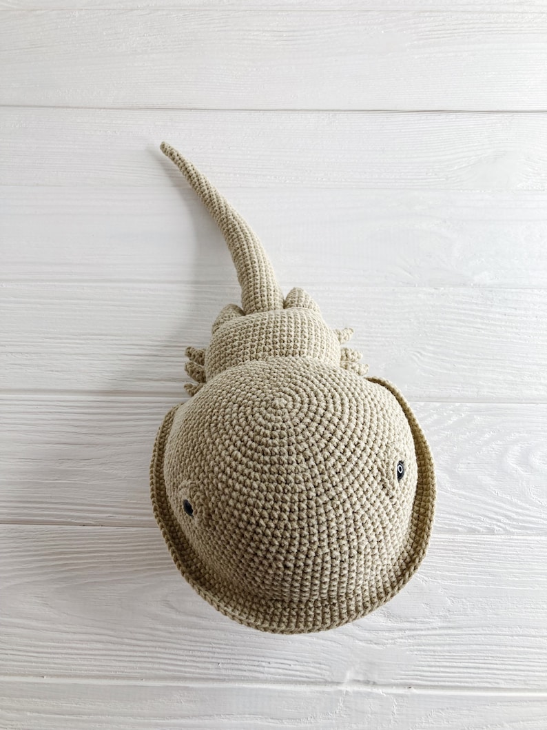 Horseshoe Crab, Beige Sea Creature, Sea Animals Lovers Gift - Etsy