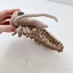 Trilobite Stuffed Toy, Sea Animals Lovers Gift, Extinct Marine ...