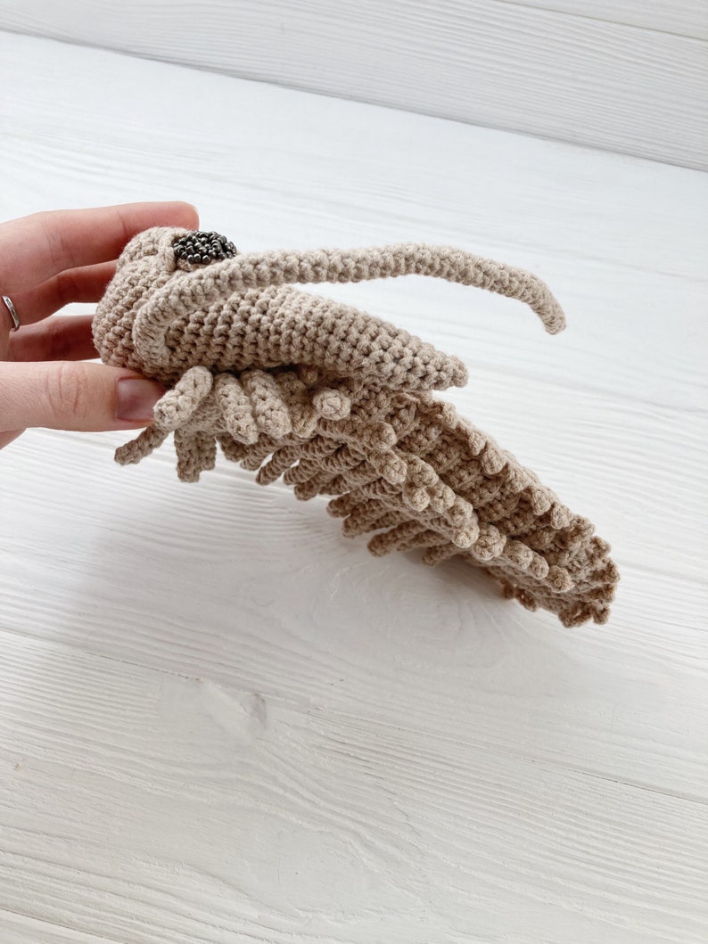 Trilobite Stuffed Toy Sea Animals Lovers Gift Extinct Marine | Etsy