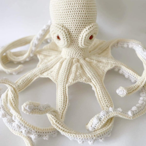 Octopus Theme - Etsy