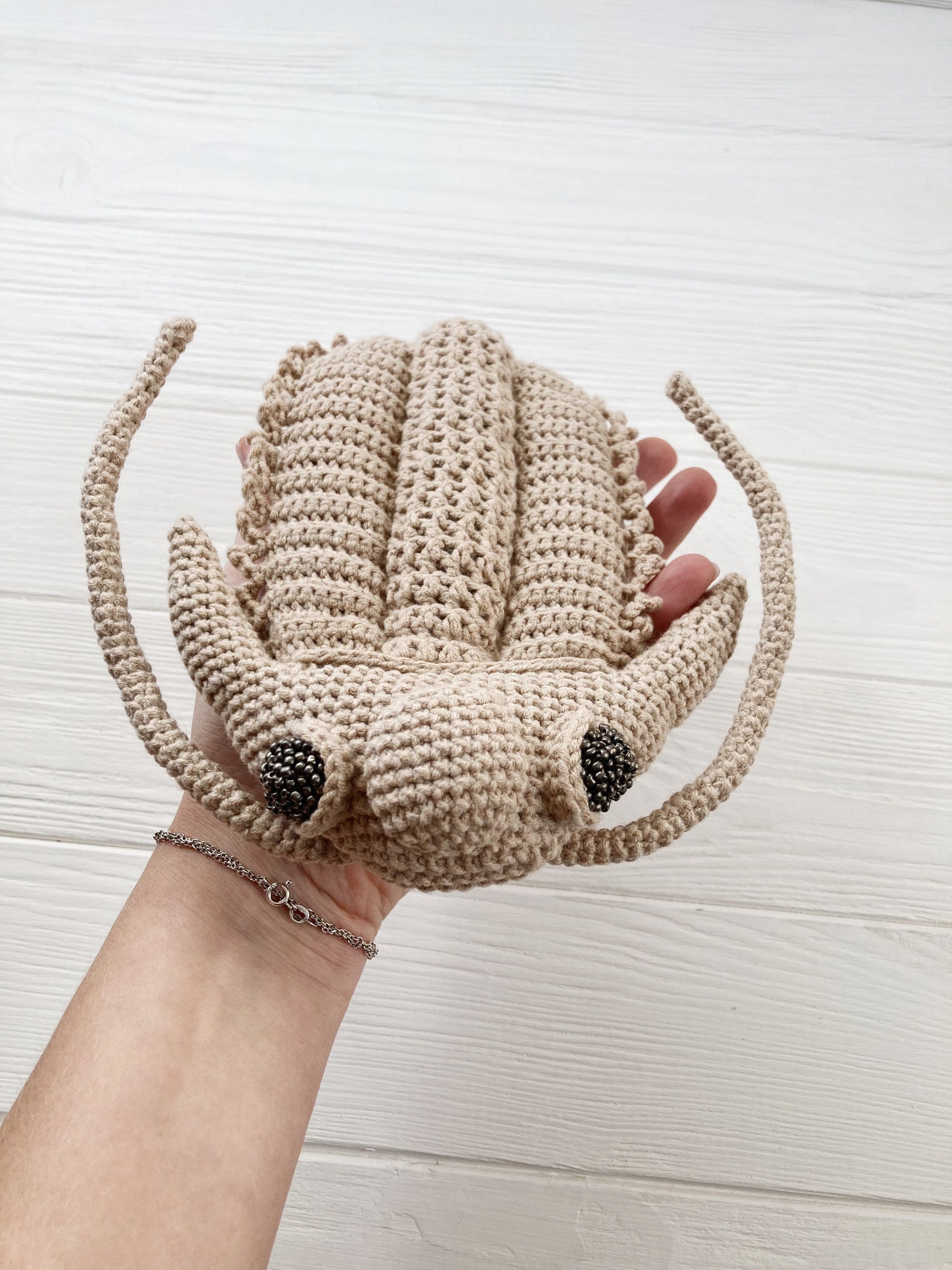 Trilobite Stuffed Toy Sea Animals Lovers Gift Extinct Marine | Etsy