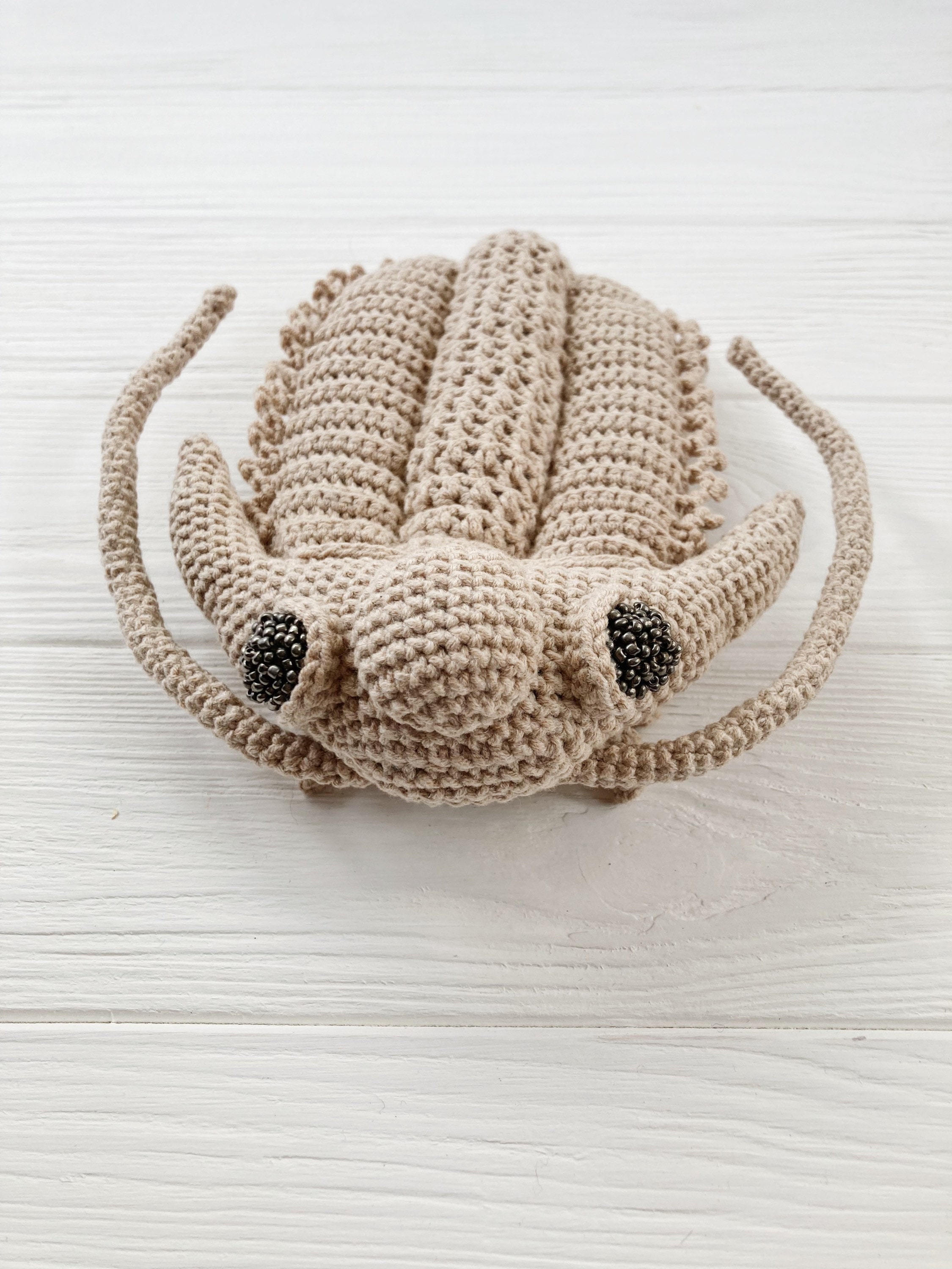 Trilobite Stuffed Toy Sea Animals Lovers Gift Extinct Marine | Etsy UK