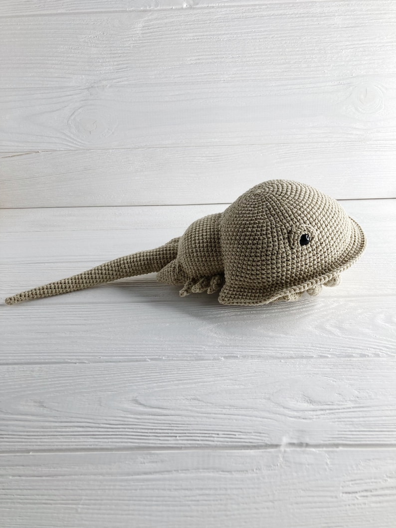 Horseshoe Crab, Beige Sea Creature, Sea Animals Lovers Gift - Etsy