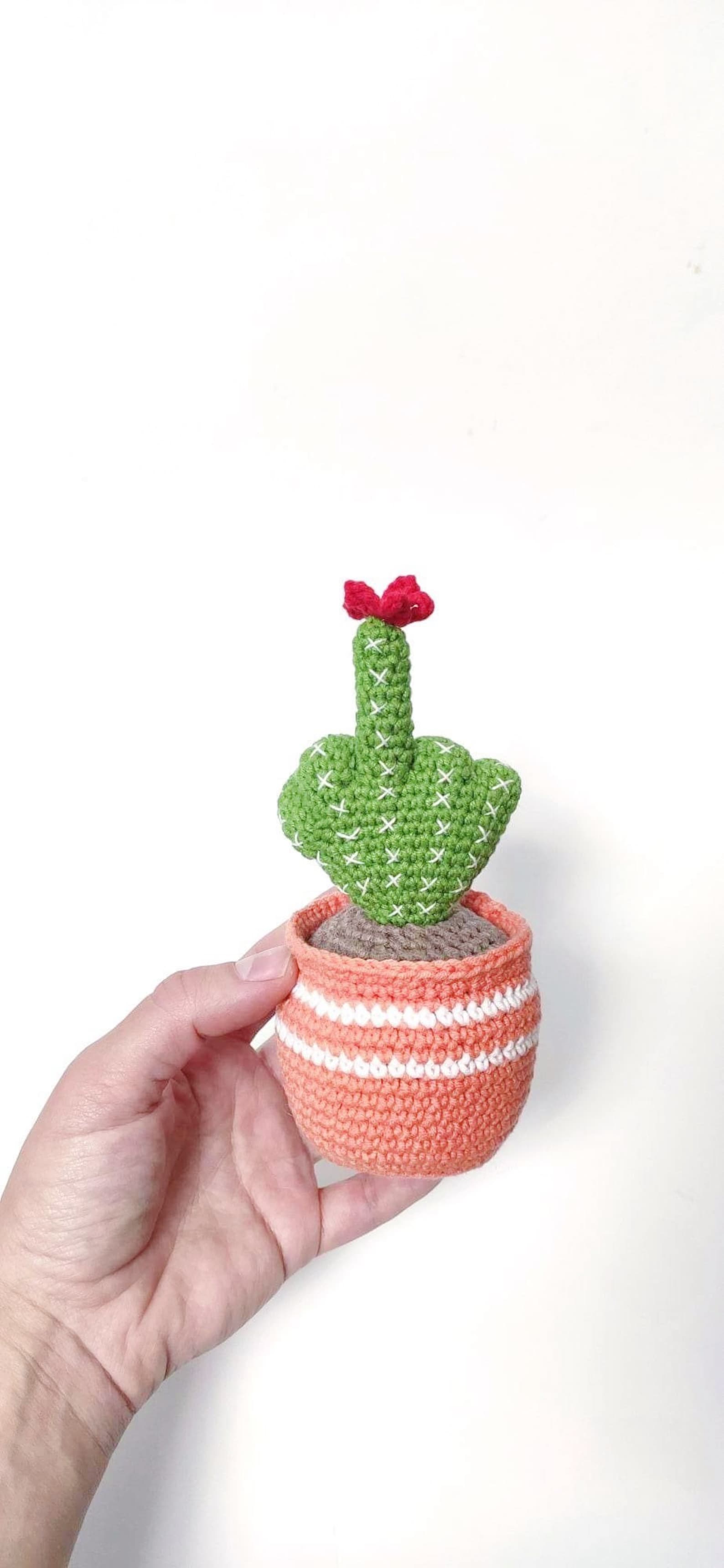 Cactus With Middle Finger Stuffed Plant in the Pot - Etsy