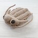 Trilobite Stuffed Toy Sea Animals Lovers Gift Extinct Marine - Etsy