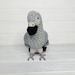 African Grey Parrot, Bird Stuffed Toy, Personalized Parrot Soft ...