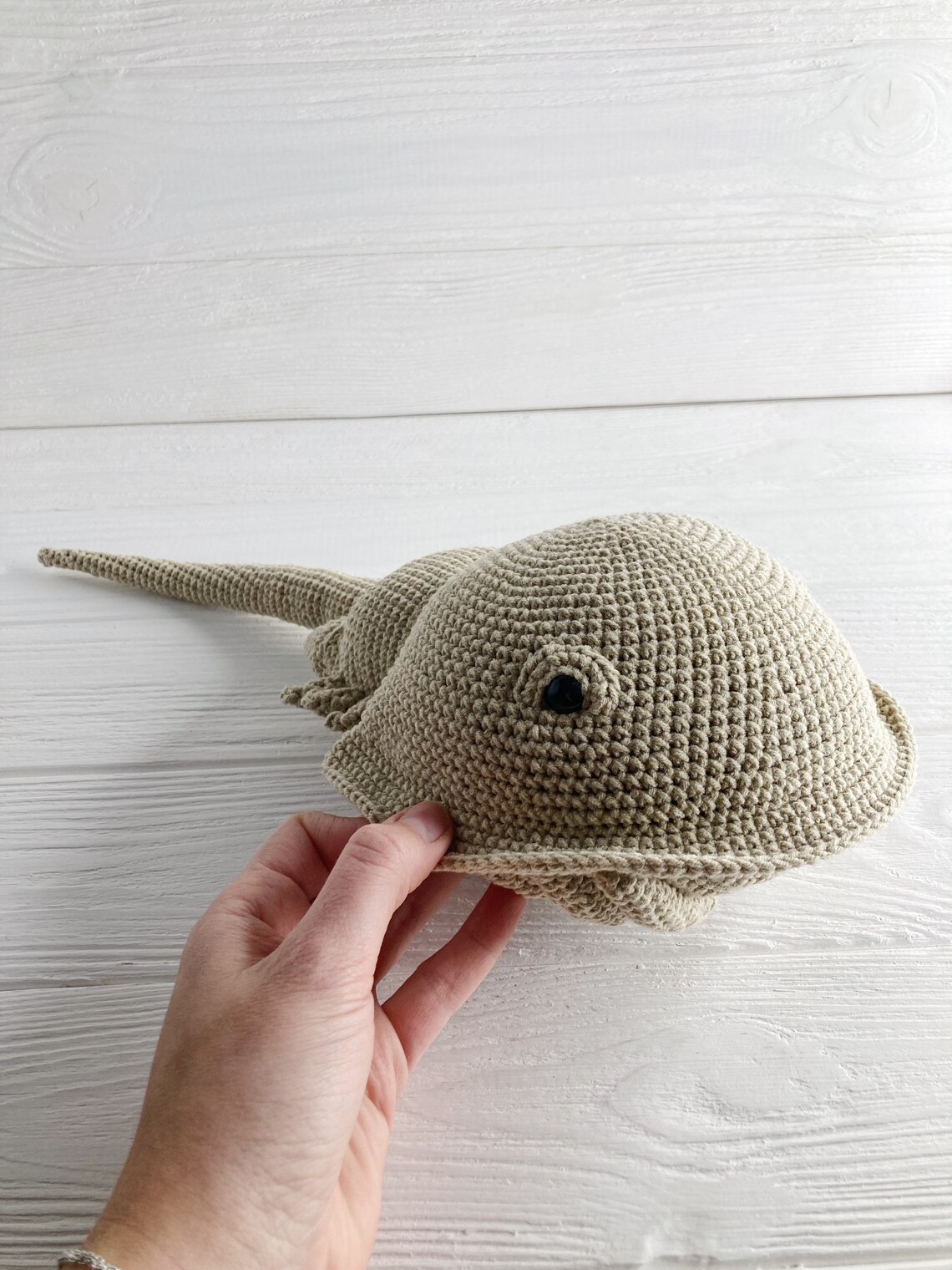Horseshoe Crab Beige Sea Creature Sea Animals Lovers Gift - Etsy
