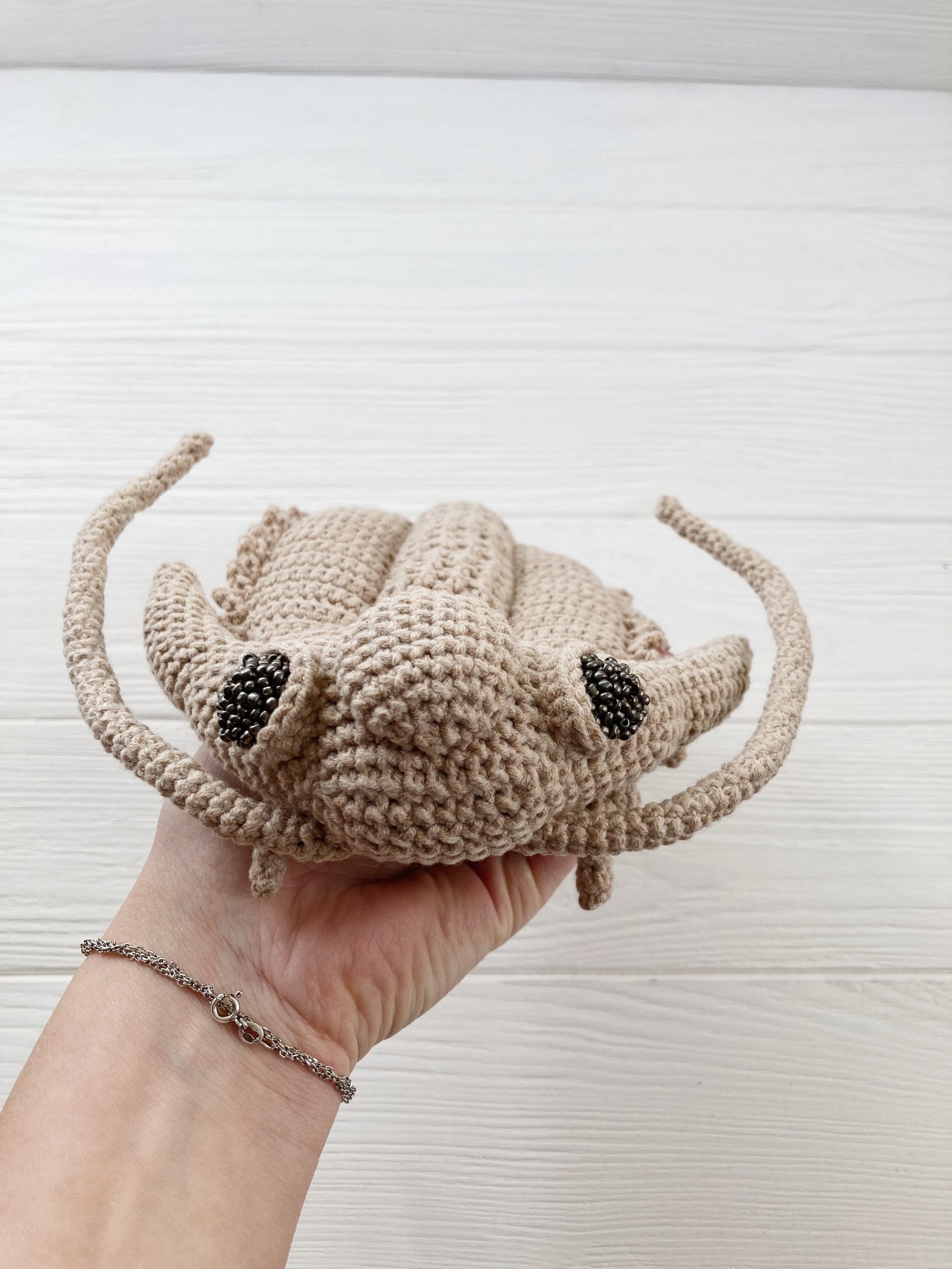 Trilobite Stuffed Toy Sea Animals Lovers Gift Extinct Marine | Etsy