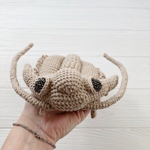 Trilobite Stuffed Toy, Sea Animals Lovers Gift, Extinct Marine ...