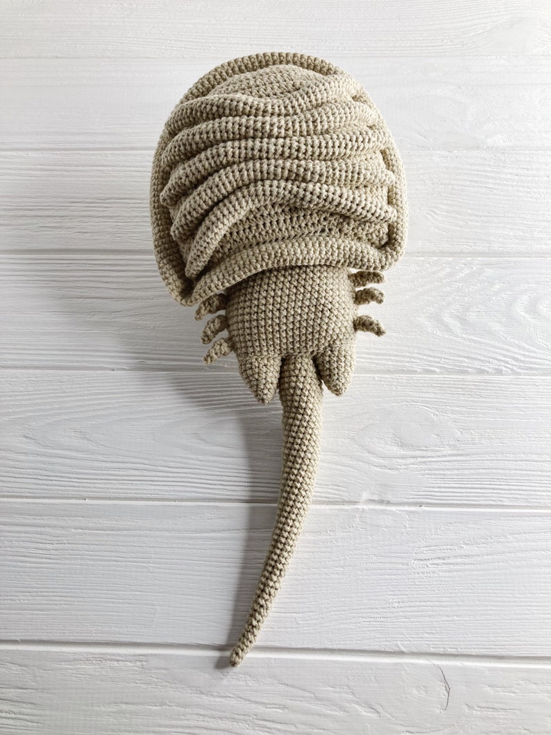 Horseshoe Crab, Beige Sea Creature, Sea Animals Lovers Gift - Etsy
