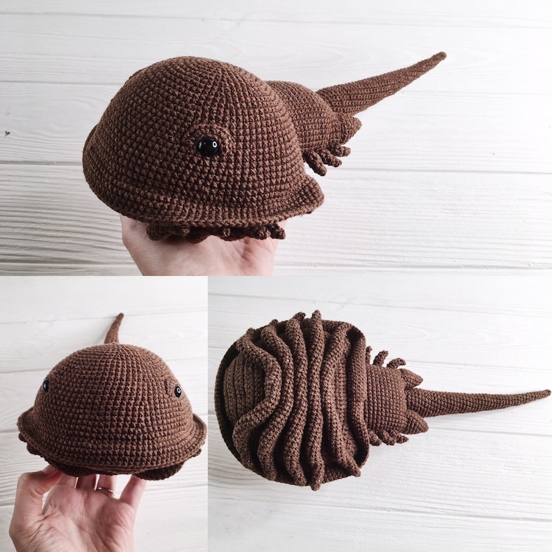 Horseshoe Crab, Beige Sea Creature, Sea Animals Lovers Gift - Etsy