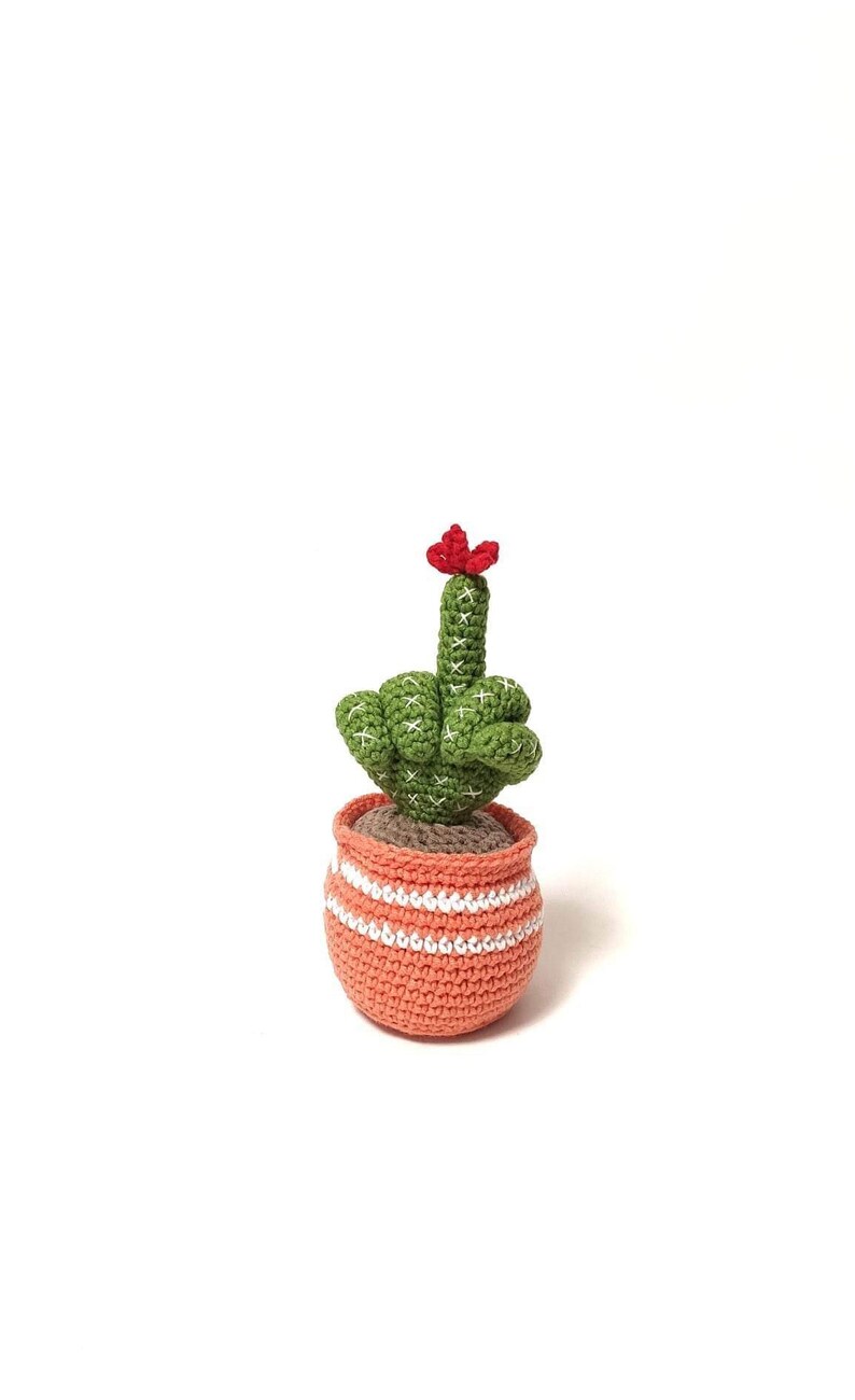 Cactus With Middle Finger Stuffed Plant in the Pot - Etsy