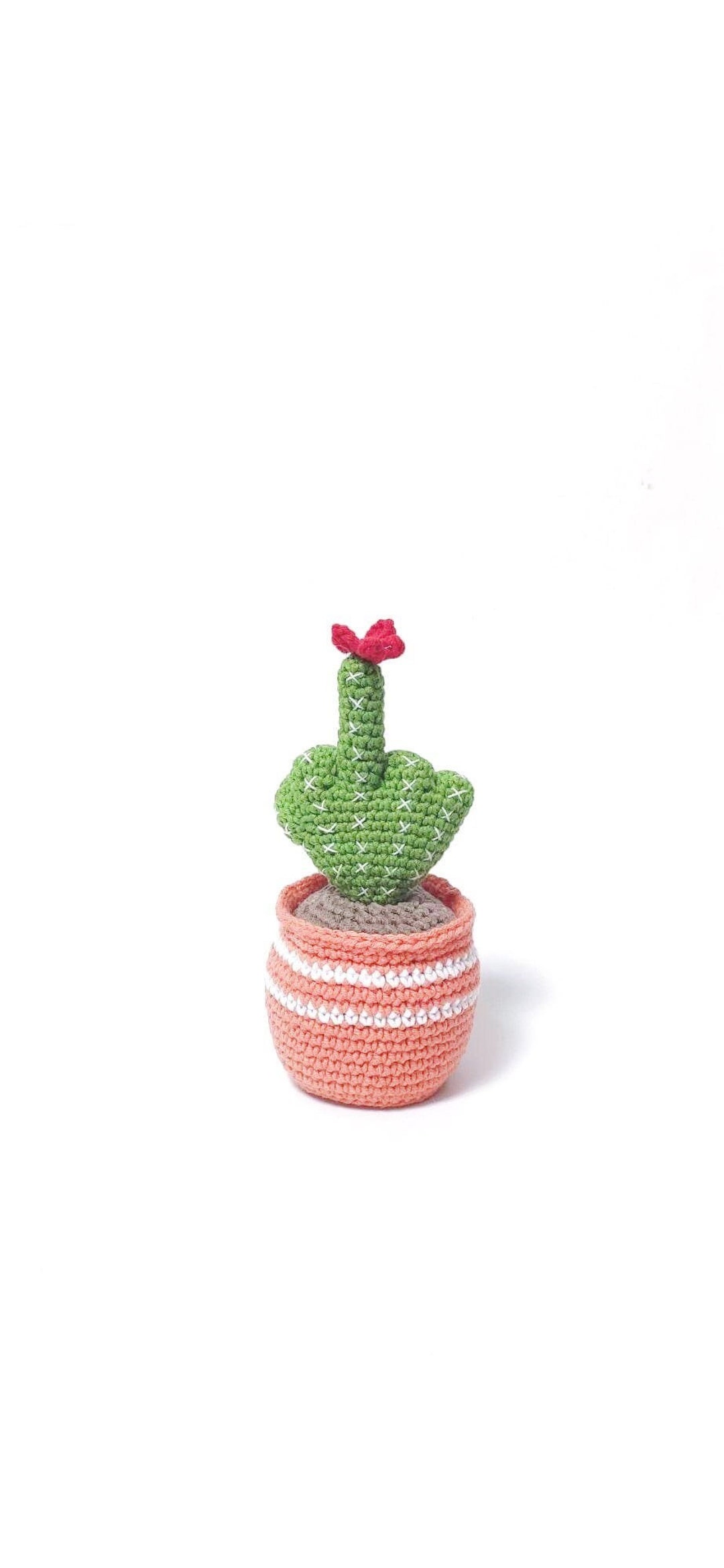 Cactus With Middle Finger, Stuffed Plant in the Pot - Etsy