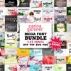 Commercial Use Mega Font Bundle, Digital Fonts, Silhouette Fonts ...
