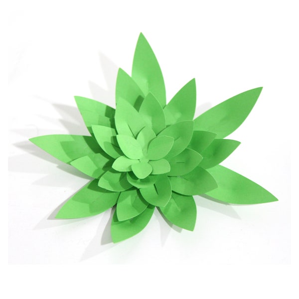 Paper 3d Succulent Template - Etsy