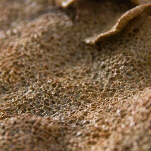 Earthy Landscape Ceramic Wallpiece - Etsy