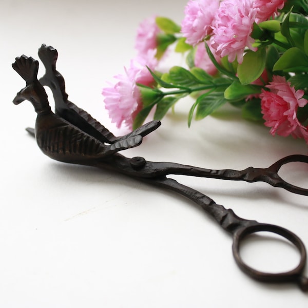 Bird Scissors - Etsy